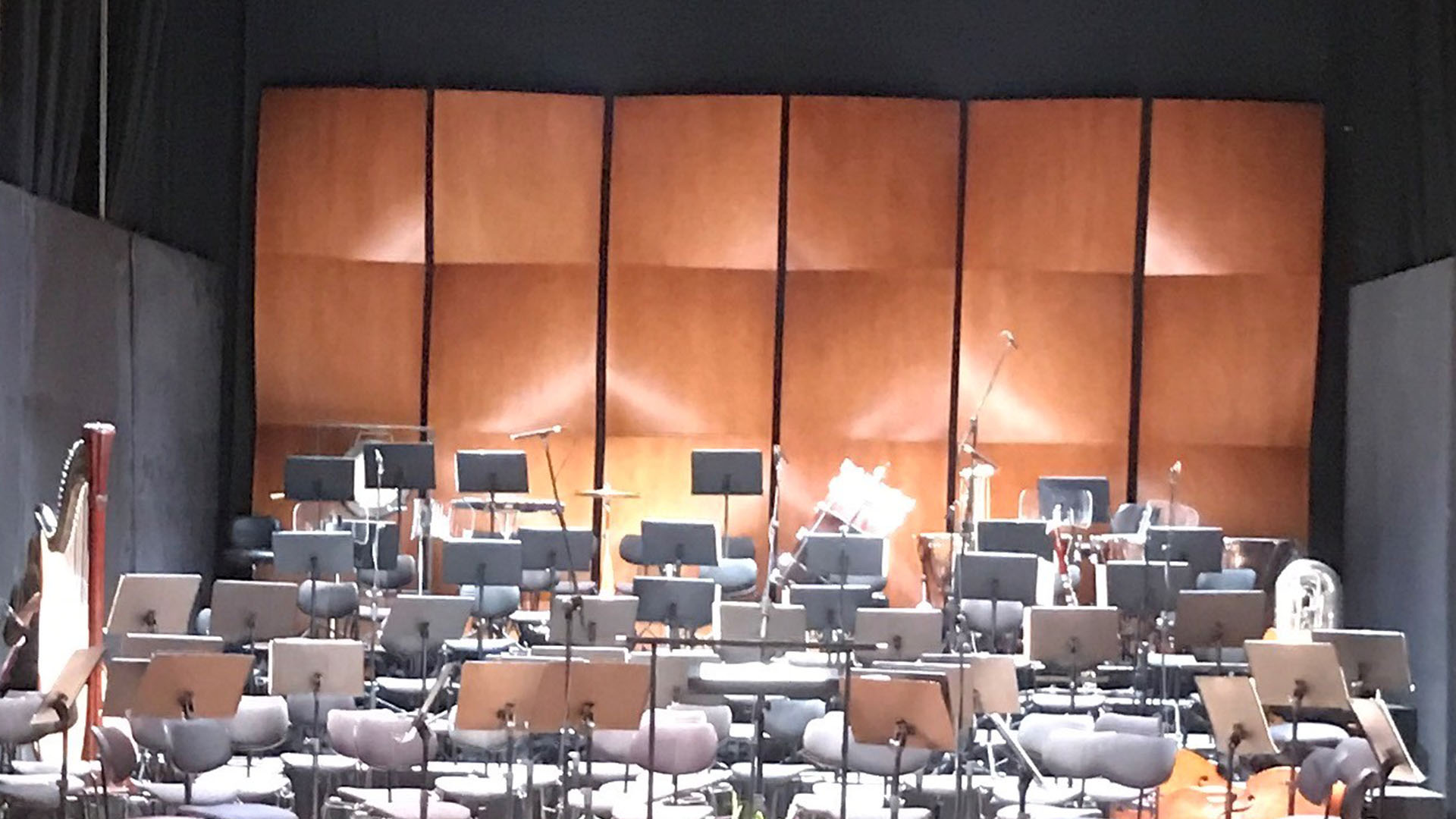 Woodfoil AS3 WFL060 | AcousticShell